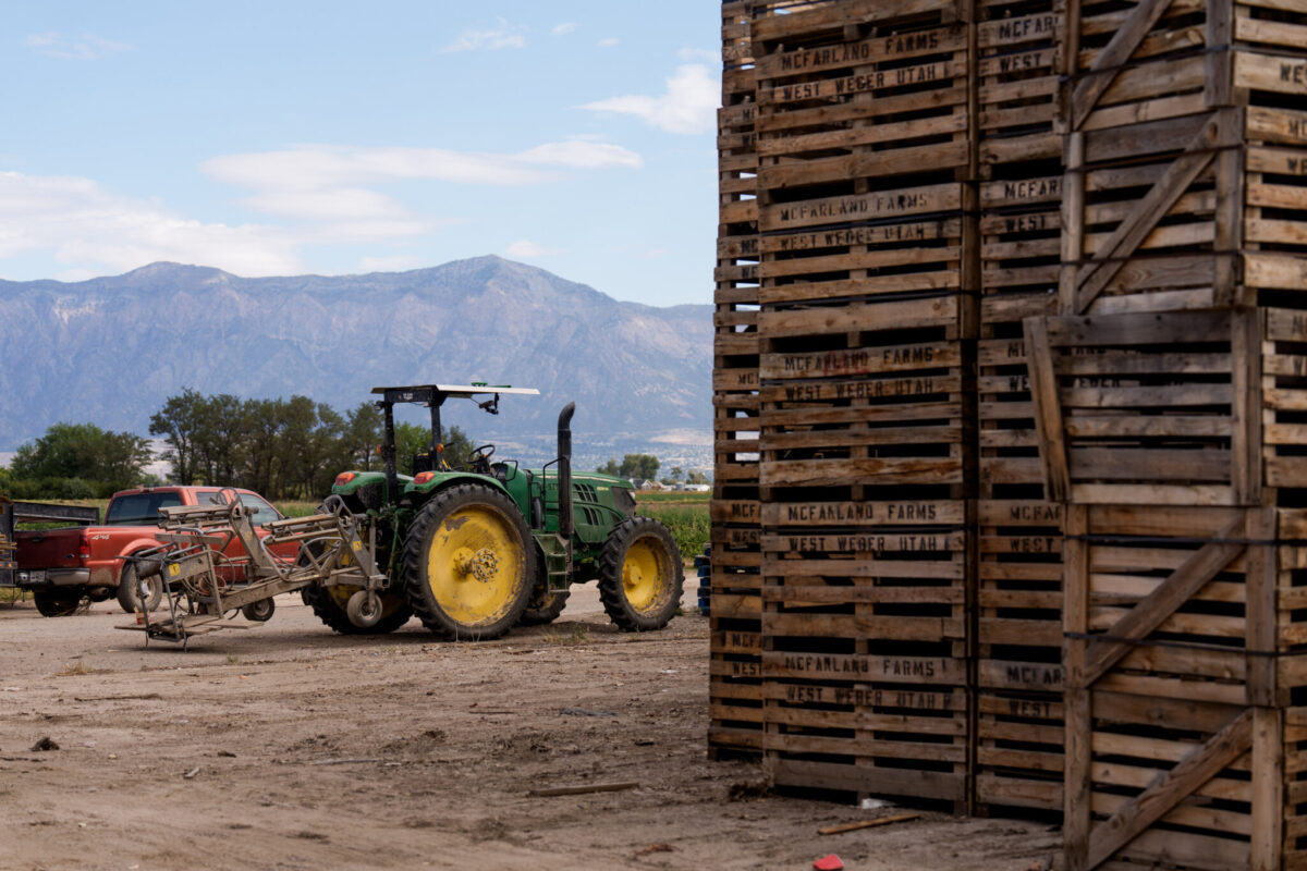 Cox issues emergency declaration over crops lost to unseasonal weather ...